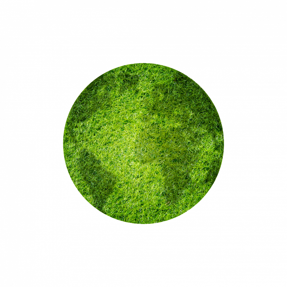 Earth Environmental Space Science Into The Outdoors earth-environmental-space-science-into-the-outdoors